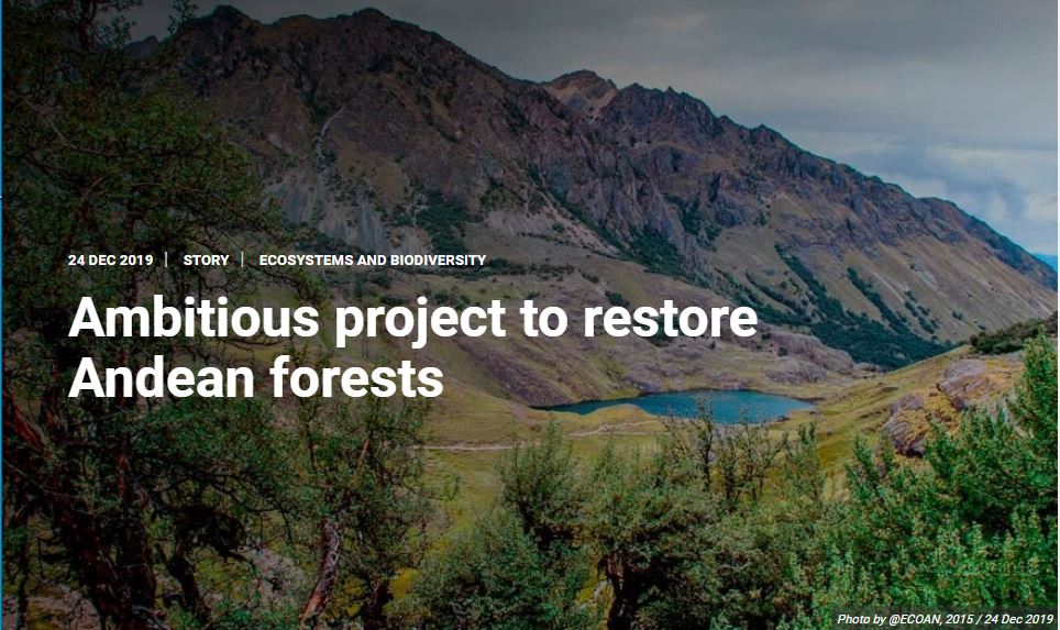 Article by the UN Environment Programme: Ambitious project to restore ...