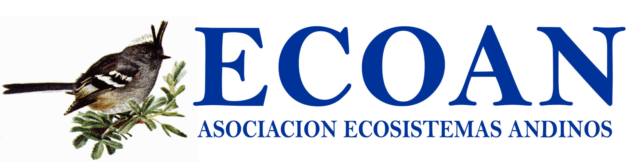 Partners – ECOAN – Accion Andina