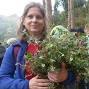 Staff - Accion Andina